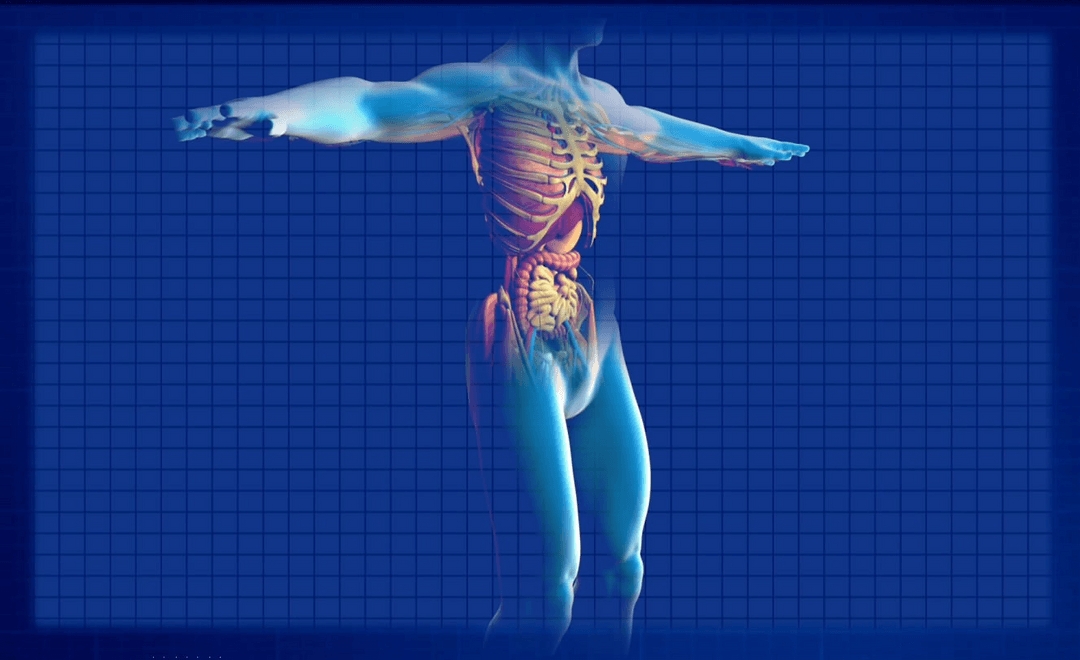 MCAT Guide — Medistudents