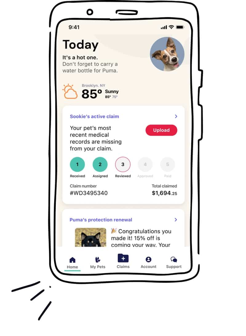 Submit a Claim | Fetch by The Dodo