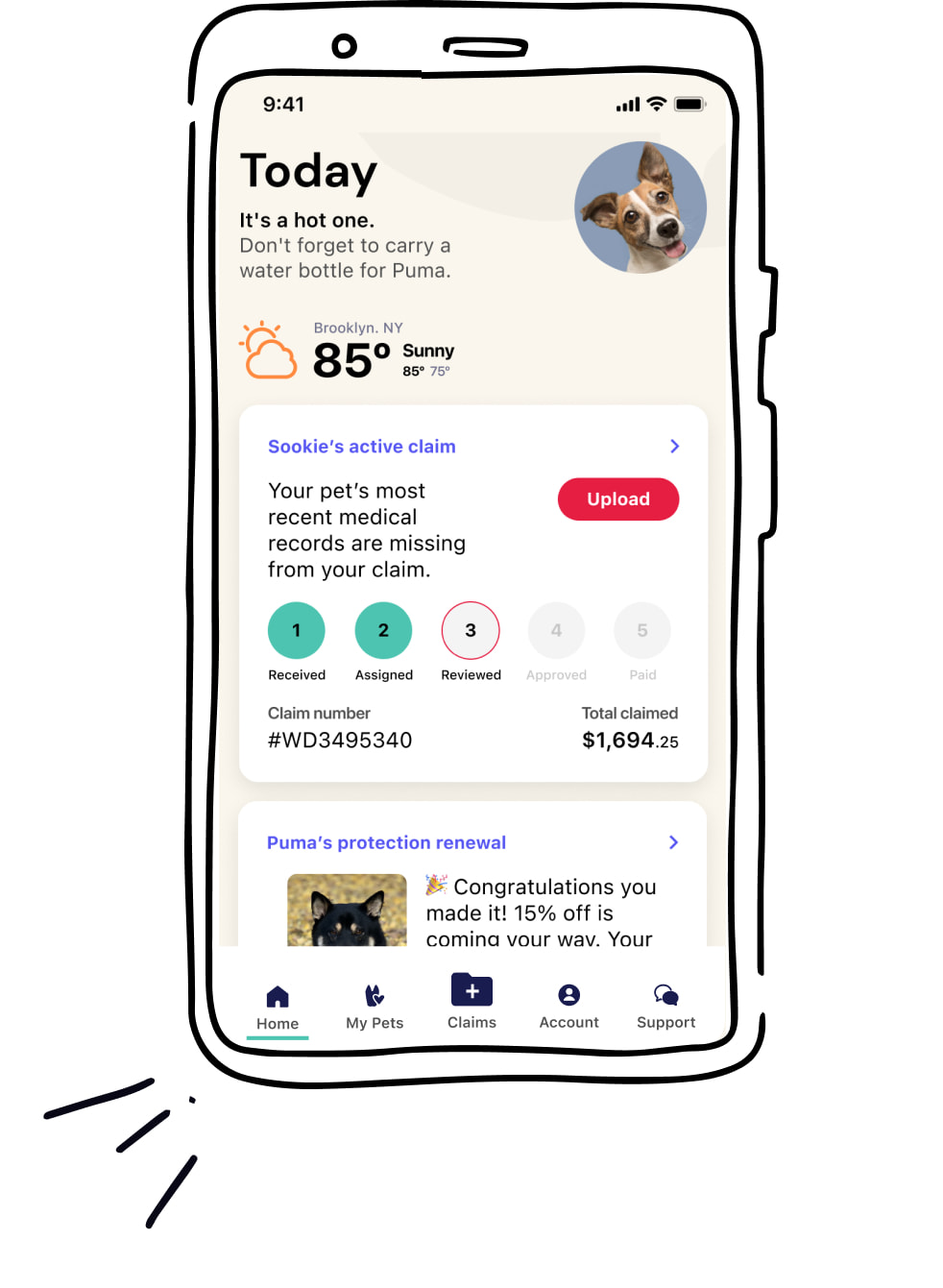 Submit a Claim | Fetch by The Dodo