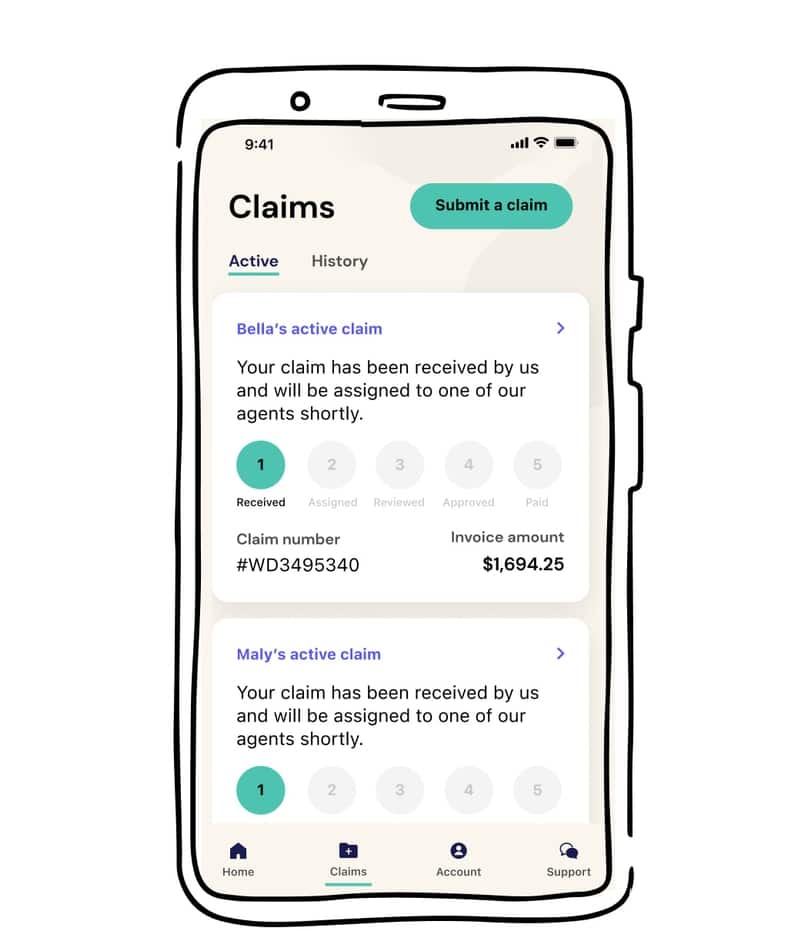 Best Pet Insurance in the U.S. | Fetch by The Dodo