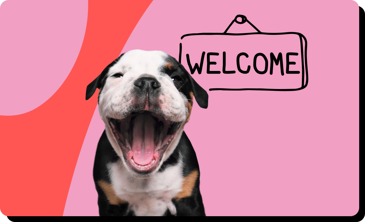 Careers - Join our team | Fetch by The Dodo