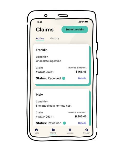 Best Pet Insurance in the U.S. | Fetch by The Dodo