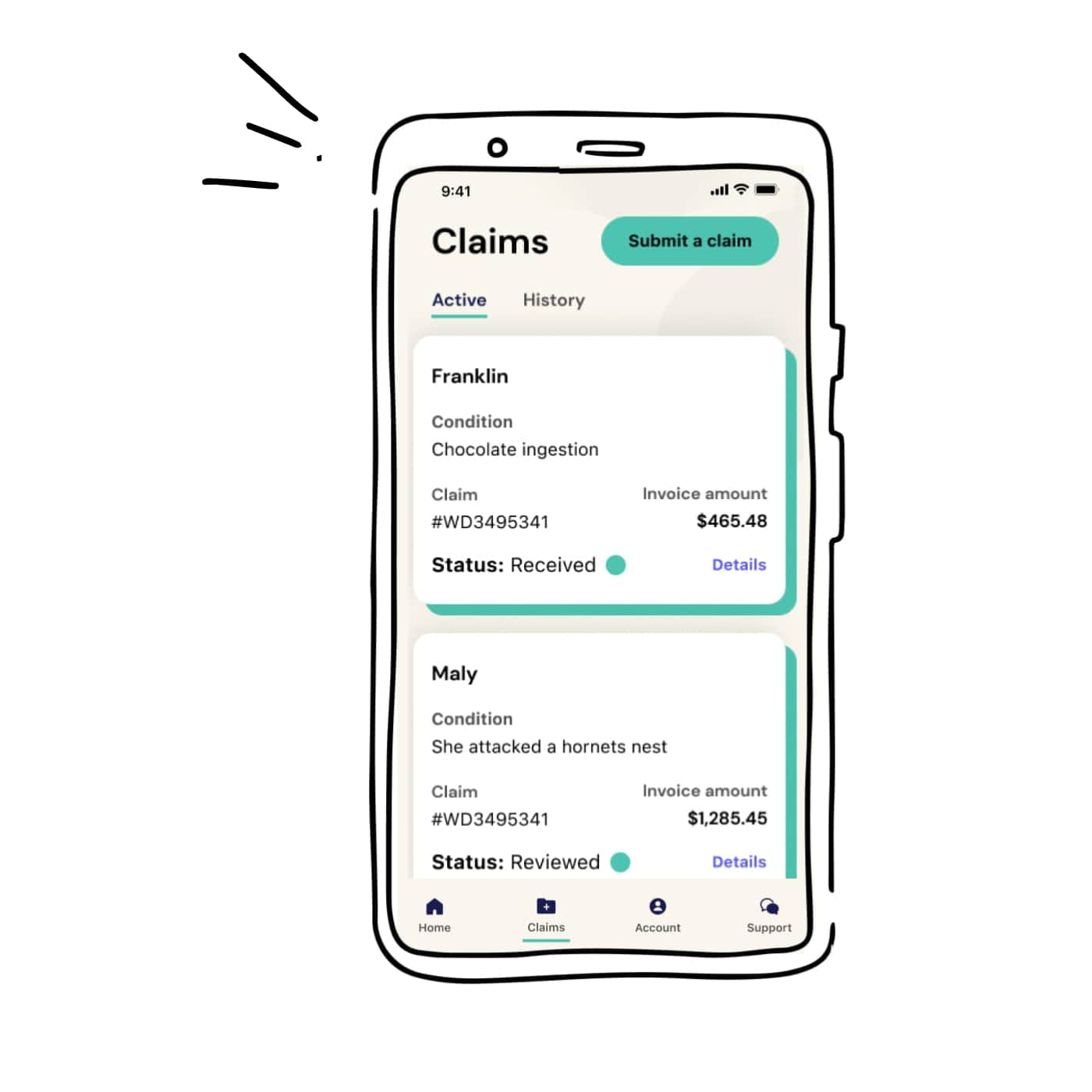 Pumpkin Pet Insurance Comparison | Fetch