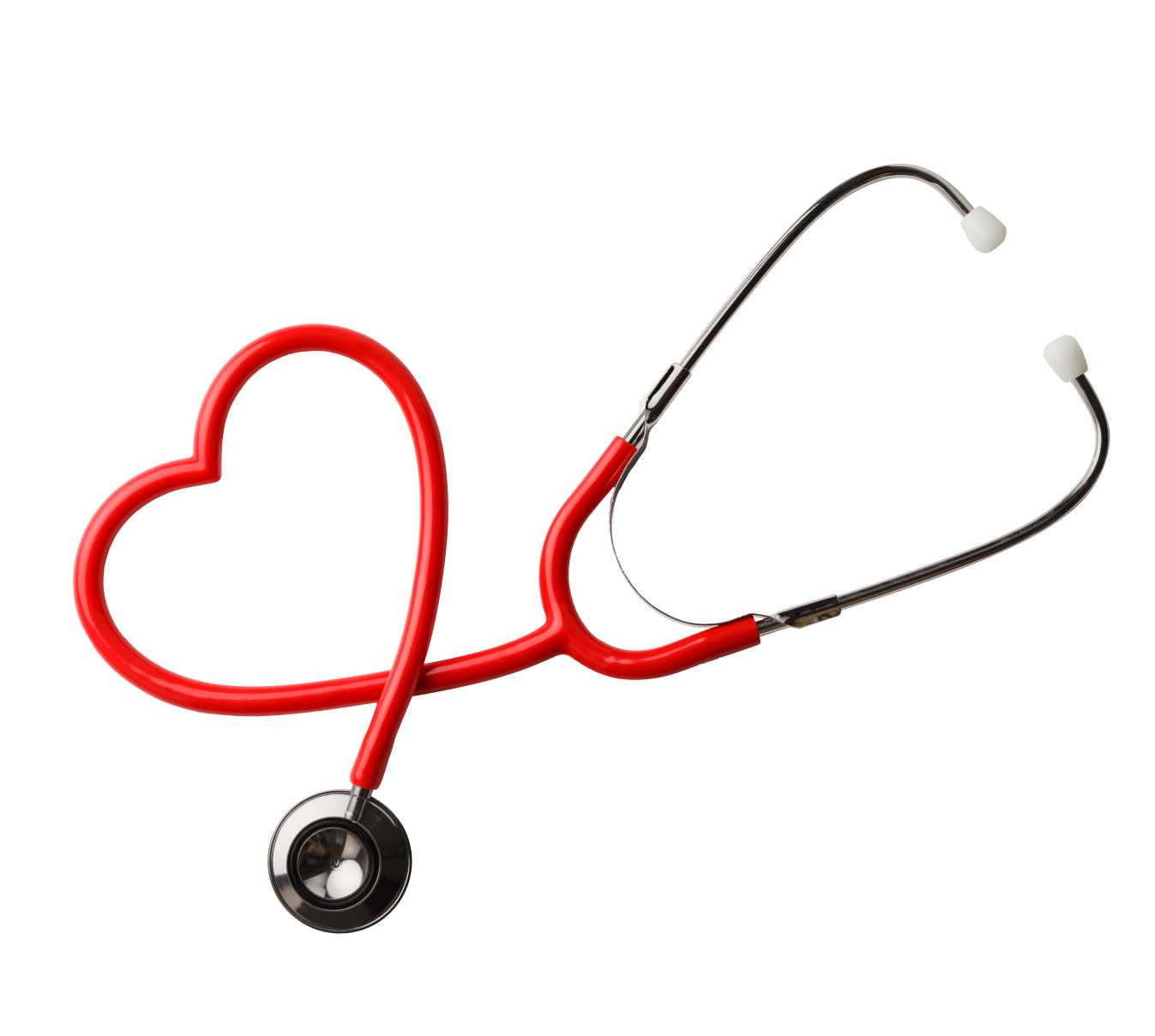 Veterinary Advisory Board | Fetch Pet Insurance