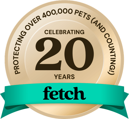 Pet Insurance by Fetch® | Voted Most Comprehensive 2024