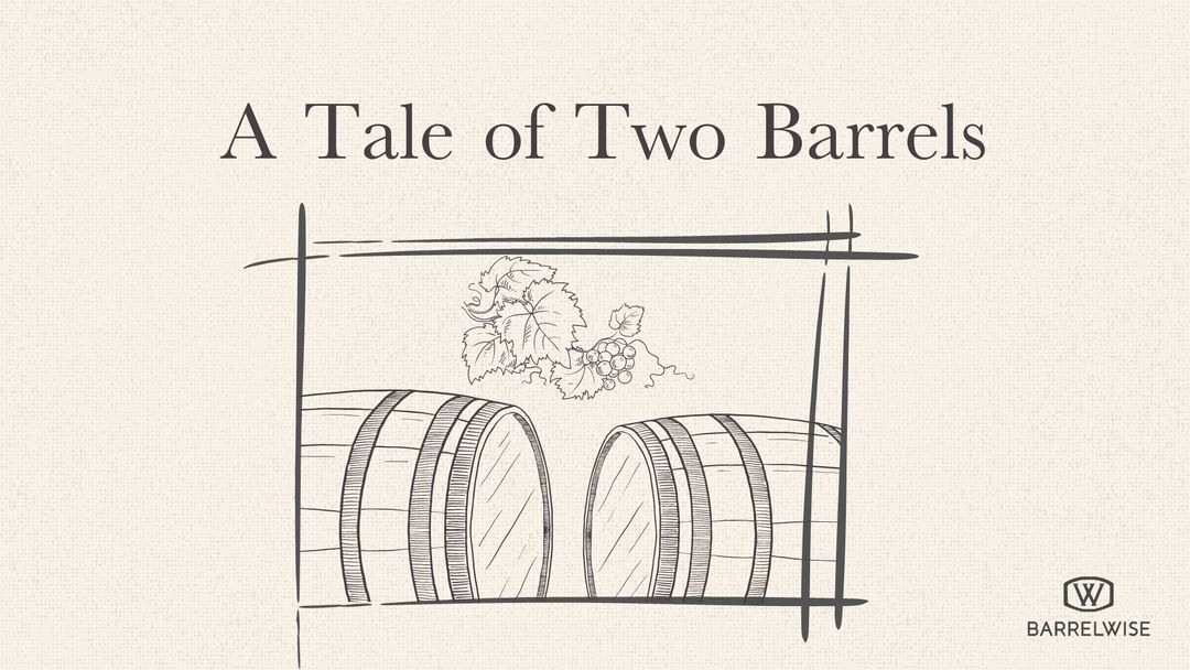 Identifying Outliers: A Tale of Two Barrels