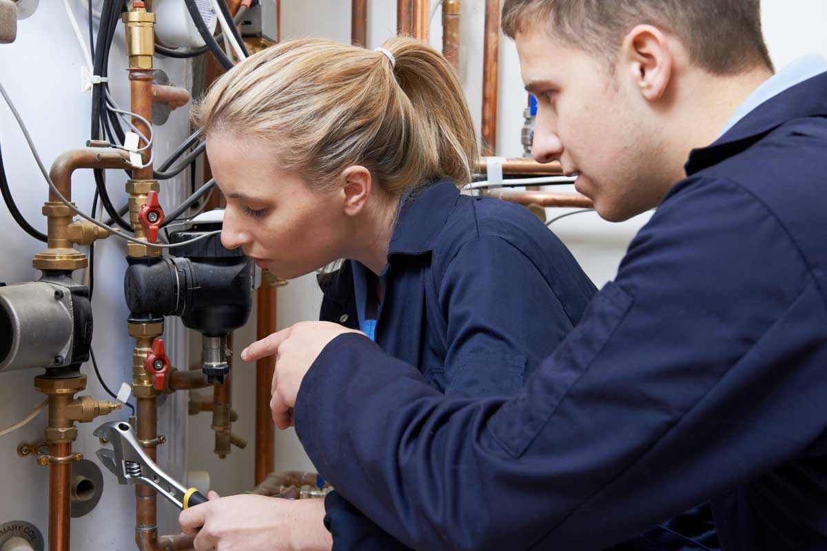 World Plumbing Day: Who knew?