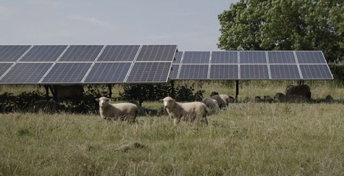 Films from Cornwall Climate Care