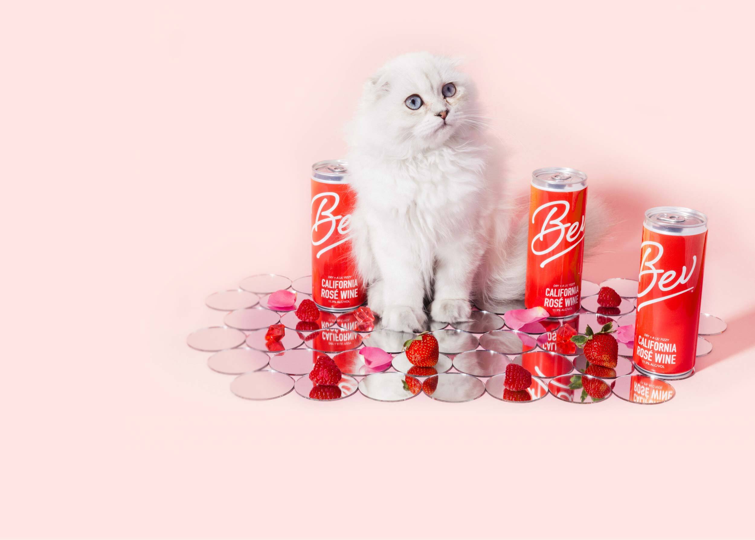 Bev Case Study by Powerhouse | World-class Brand & Design