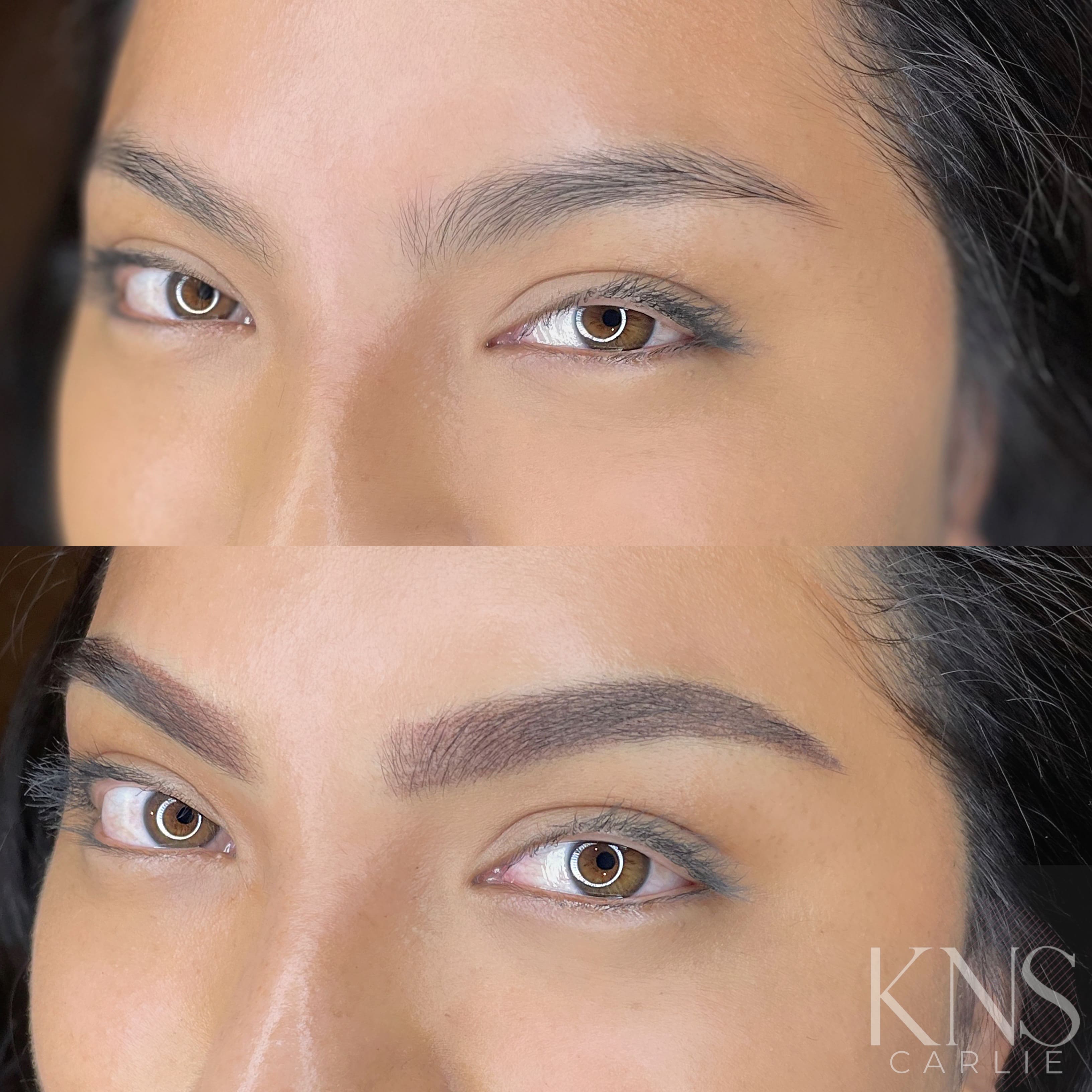 Microblading and PowderBrow Services