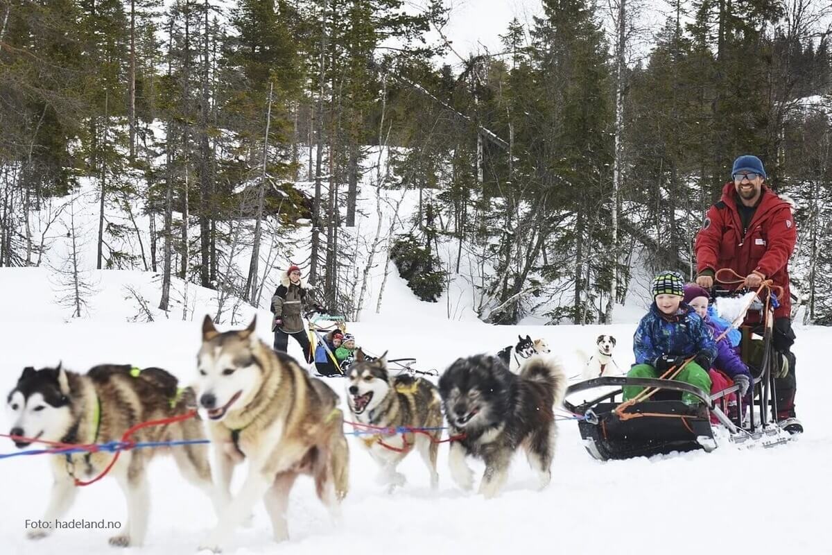 Husky Point Røros - Priser og åpningstider | BarnasNorge.no