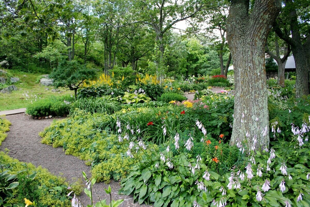 Stavanger botaniske hage - Priser og åpningstider | BarnasNorge.no