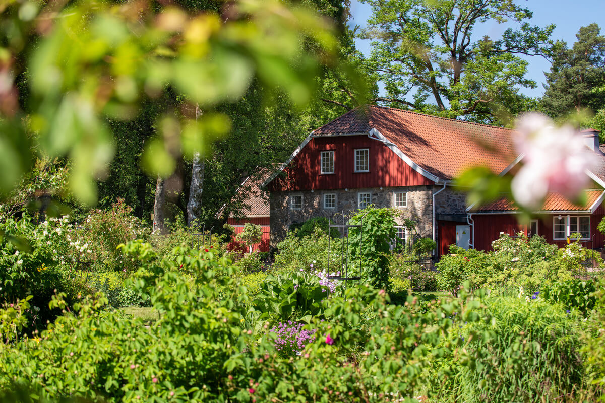 Naturmuseum og Botanisk hage - Priser og åpningstider | BarnasNorge.no