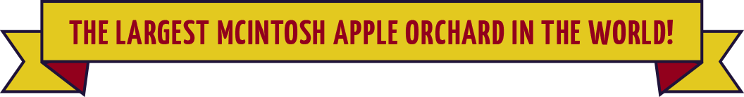 Chazy Orchards | The Largest McIntosh Apple Orchard in the World!