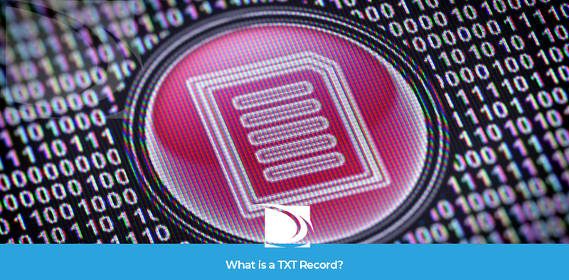 What is a TXT Record? - DNS Made Easy Blog