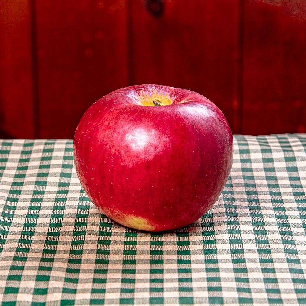 Our Apples | Chazy Orchards in Chazy, NY
