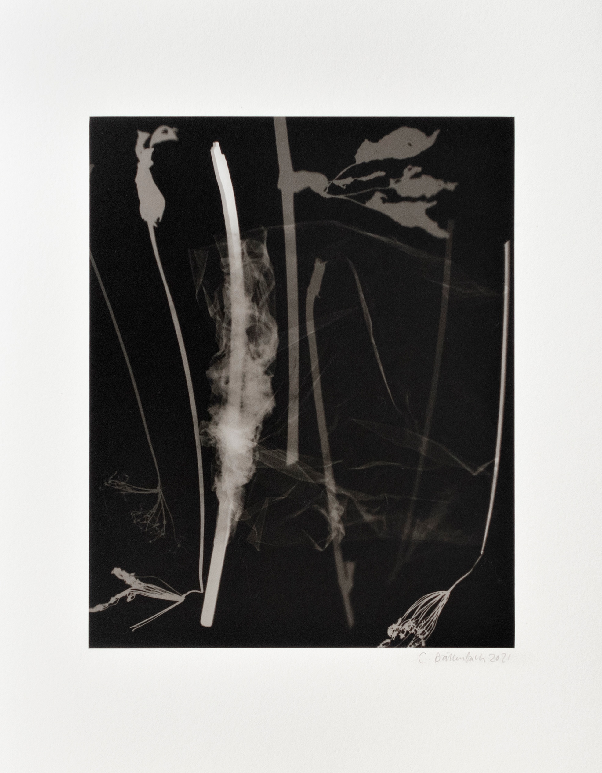 Claudine Dällenbach