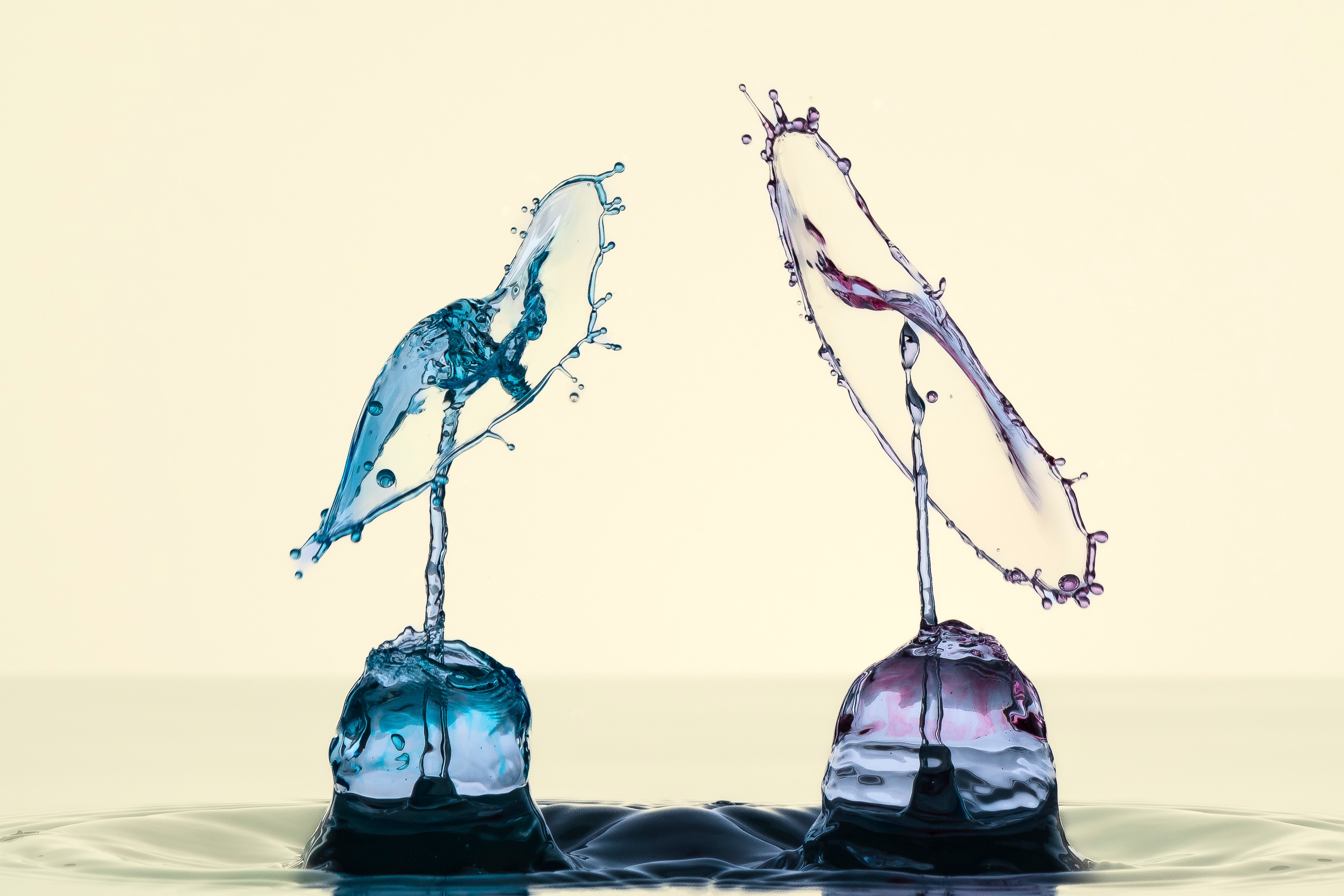 Anna | Franco Kropf | Tessarolo