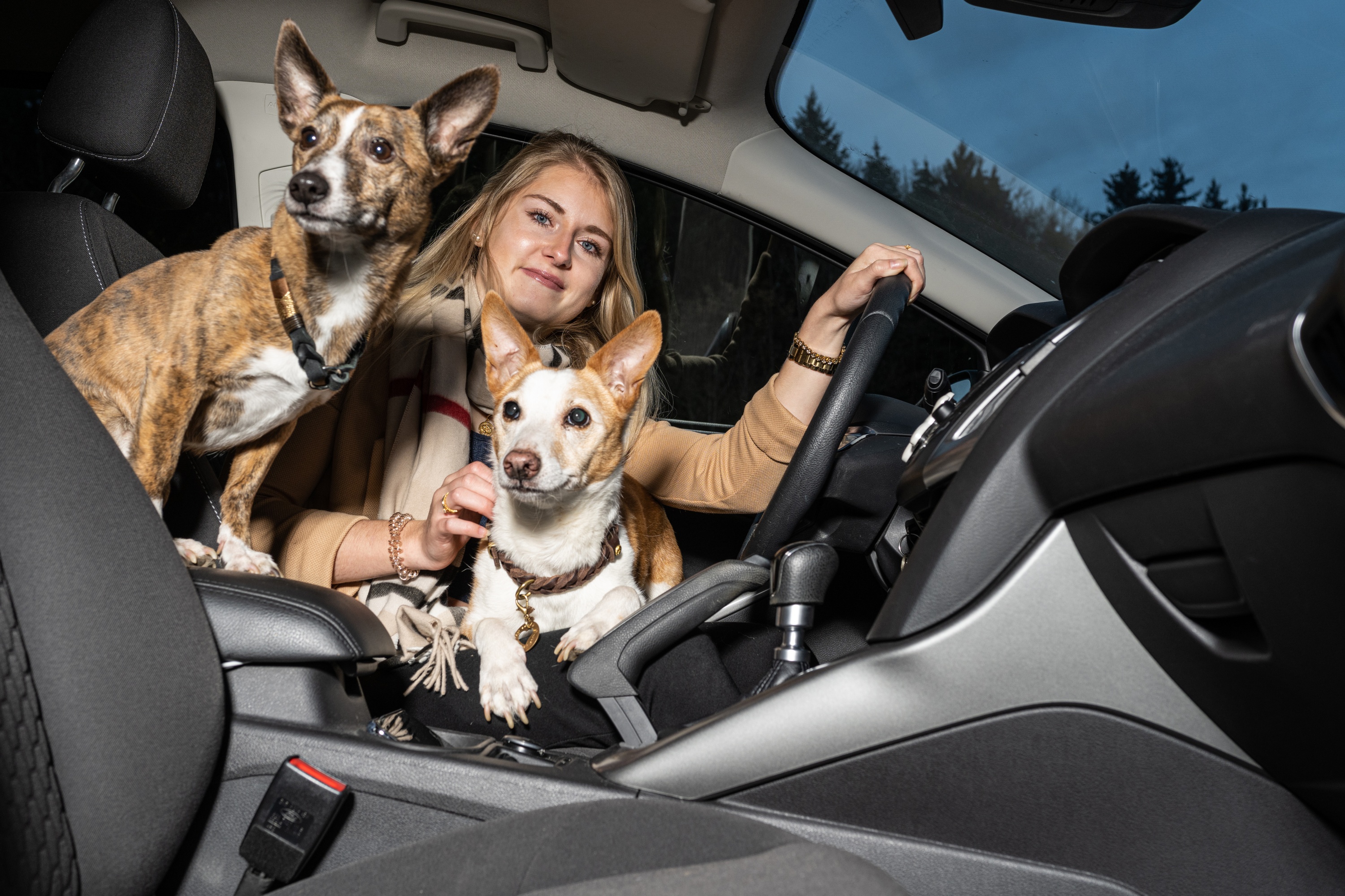 Dominique Benjamin Metzler