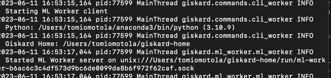 Testing Classification Models For Fraud Detection With Giskard Ml Library