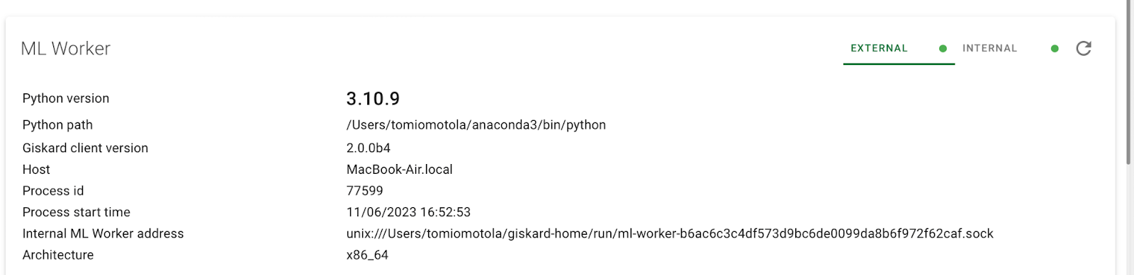 Testing Classification Models For Fraud Detection With Giskard Ml Library 