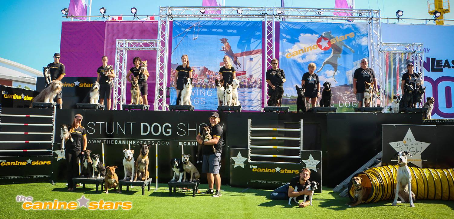 Legend — Webflow HTML website template