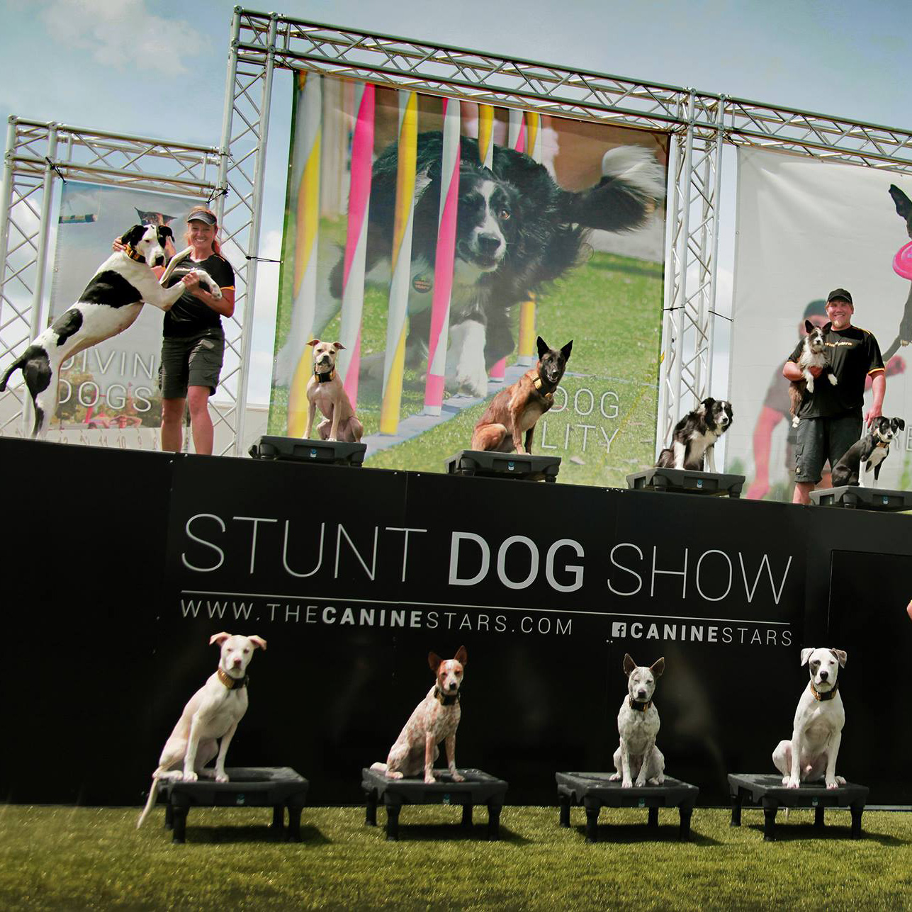 Stunt Dog Show | Entertainment Act by The Canine Stars