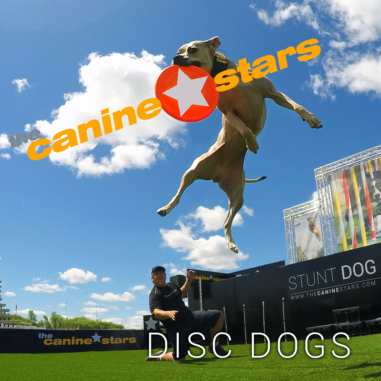 Stunt Dog Show | Entertainment Act by The Canine Stars
