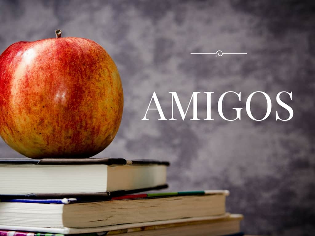 Discovering The Secret Strategies And Techniques Behind Amigos Program
