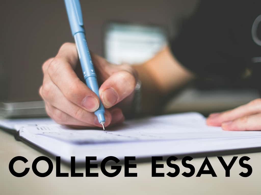 Essay Examples
