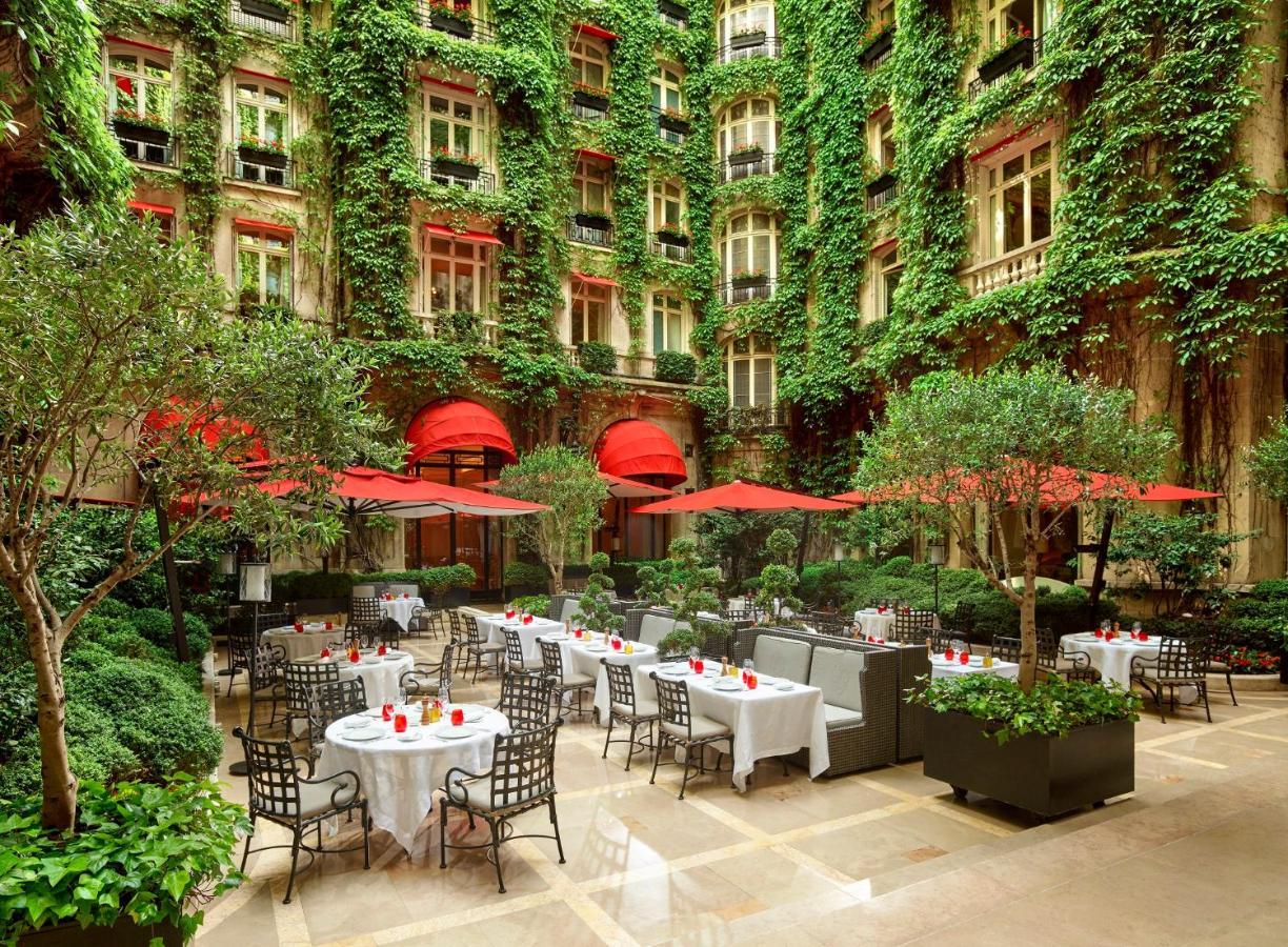 The Essence of Luxury: Paris's Most Exquisite Hotel Experiences | Wiser ...