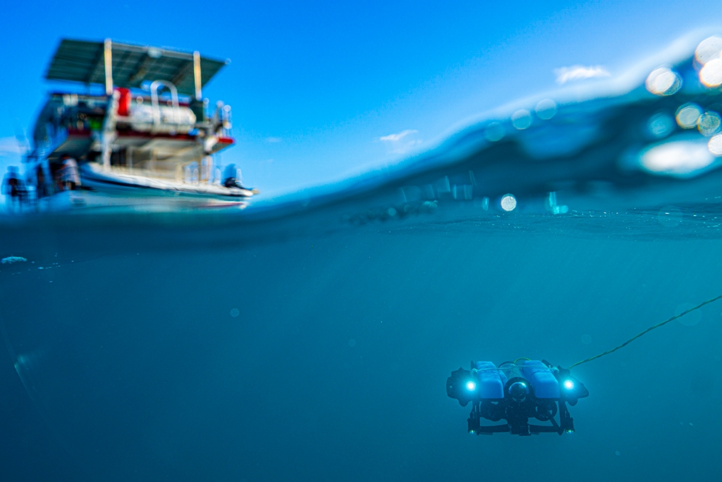 REEF 2050 PLAN Under Water Drones, Artificial Intelligence and DNA ...