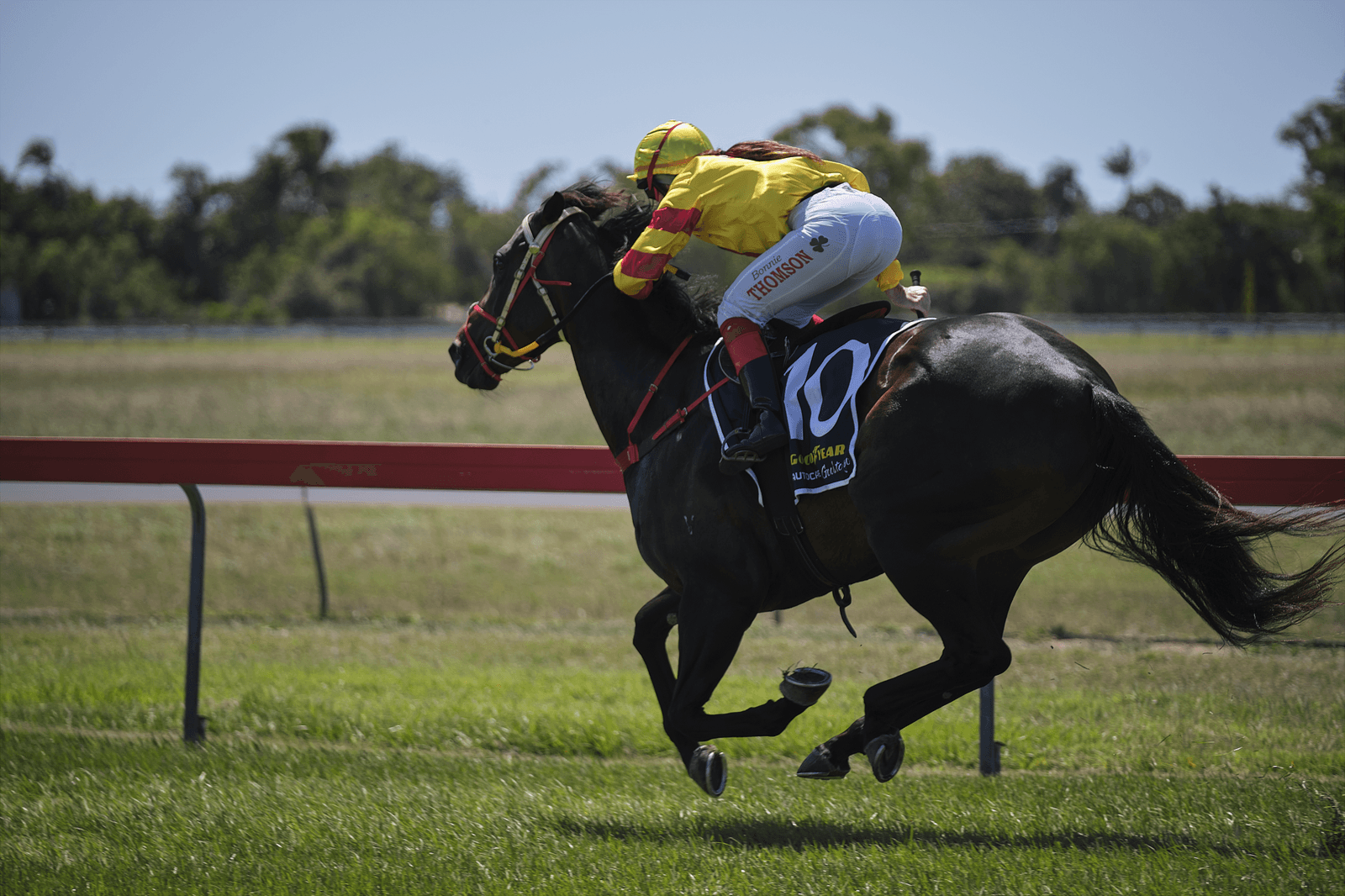 Bowen Cup A Thoroughbred Success - Mackay Whitsunday LIfe