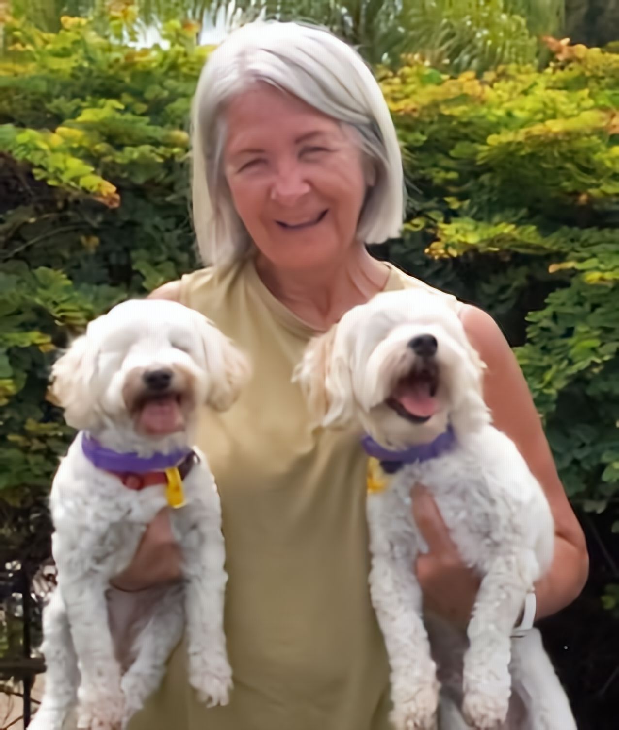 LOVE IS BLIND: RSPCA CALLS ON MACKAY LOCALS TO SAVE ANIMALS - Mackay ...