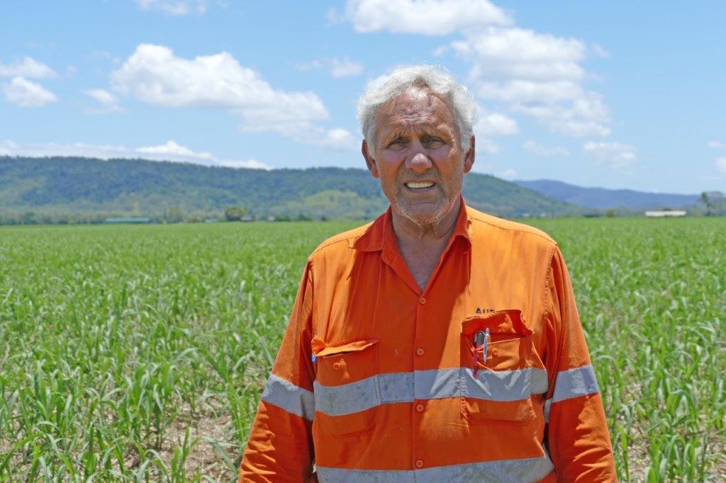 The Sweet Sugar Taste Of Proserpine History - Mackay Whitsunday LIfe