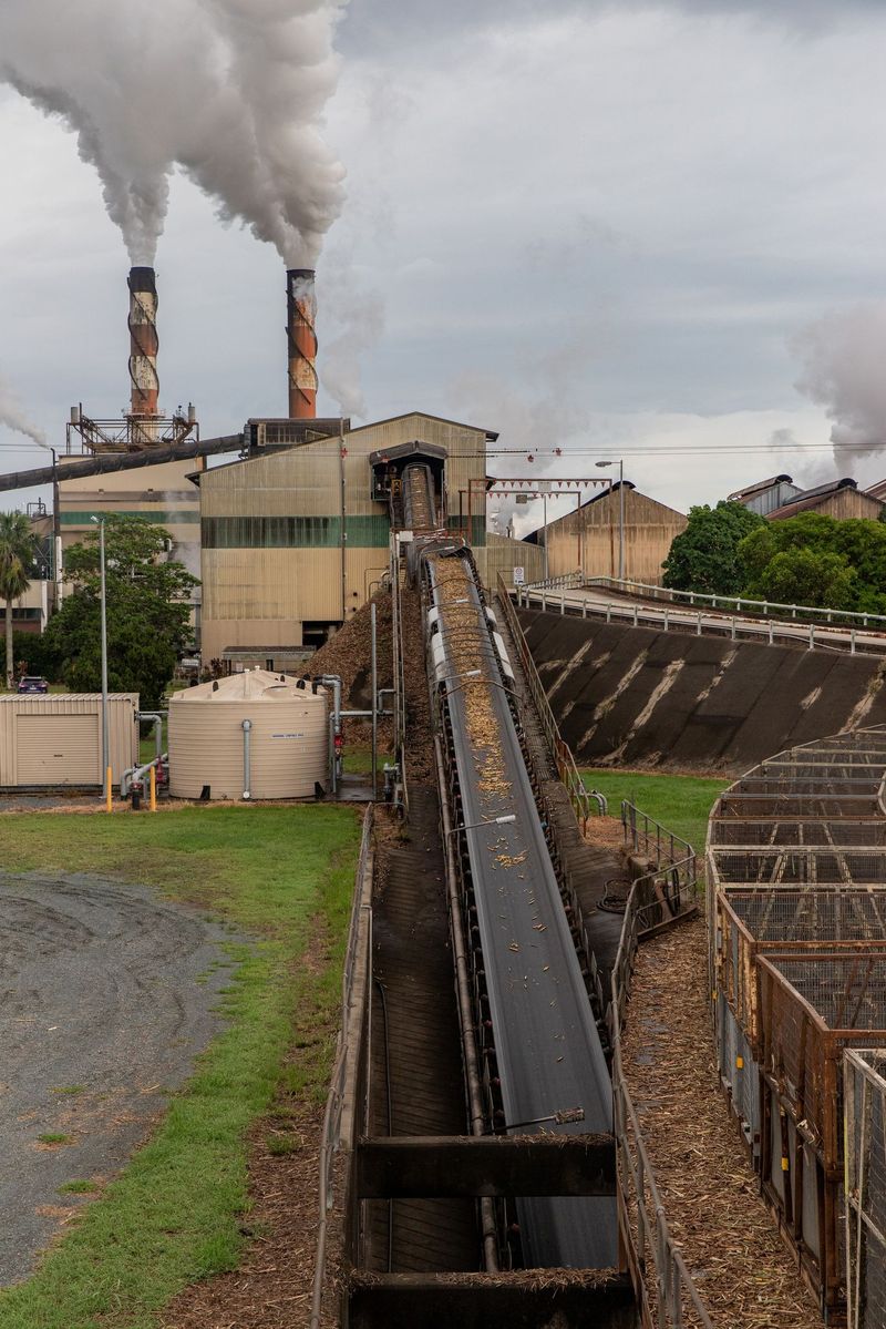 Mackay Sugar Wraps Up Another SWEET Season - Mackay Whitsunday LIfe