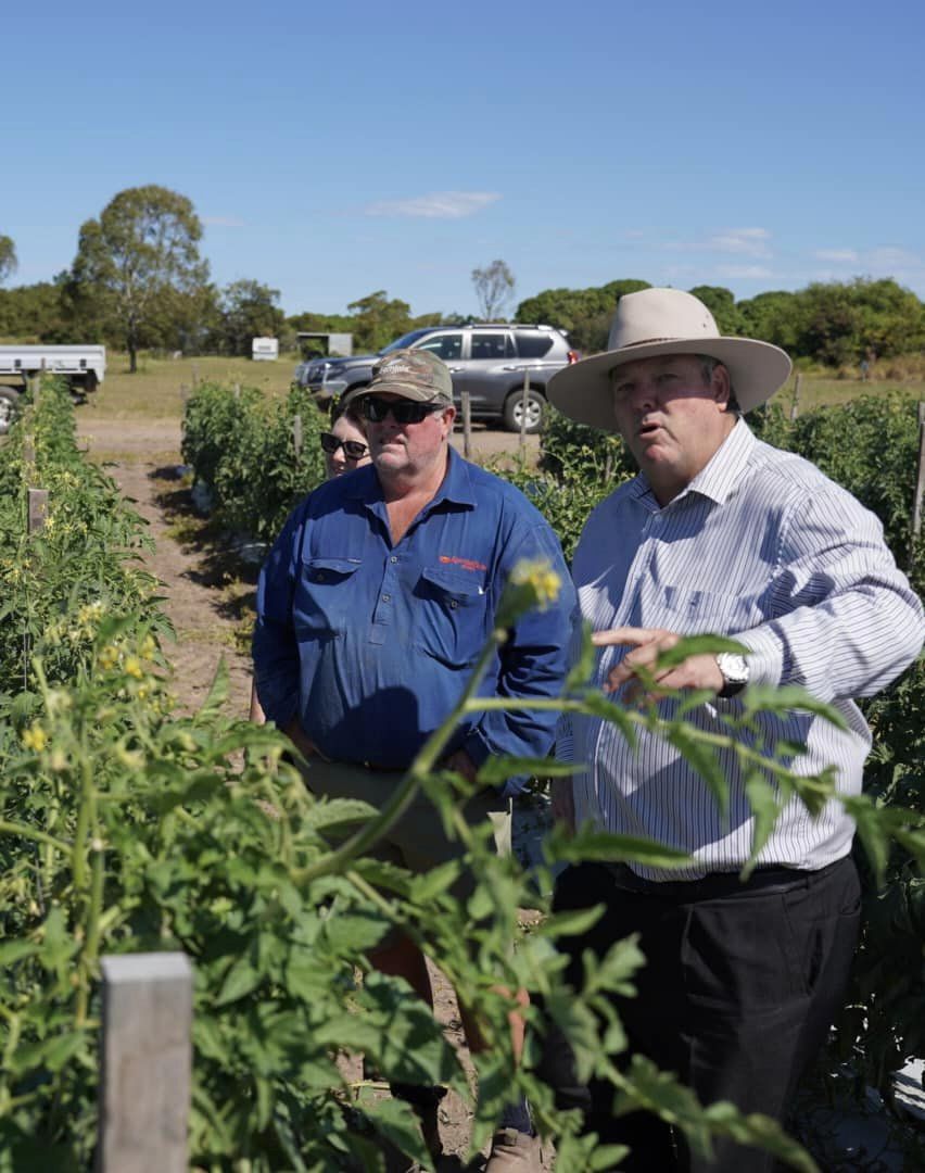 WILLCOX CALLS FOR ACCC INVESTIGATION INTO SUPERMARKET PRICES - Mackay ...
