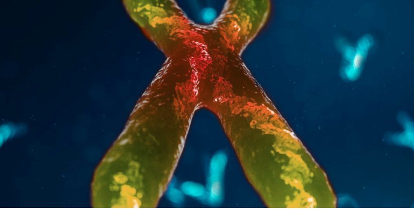 The New FISH: Welcome to Cytogenetics 2.0 | BioDot