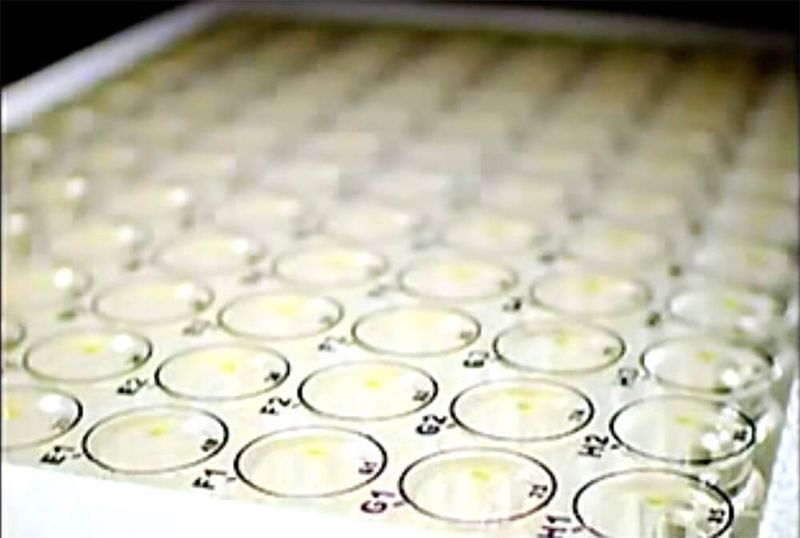 BioDot BioJet™ Drop-on-Drop Dispensing - BioDot