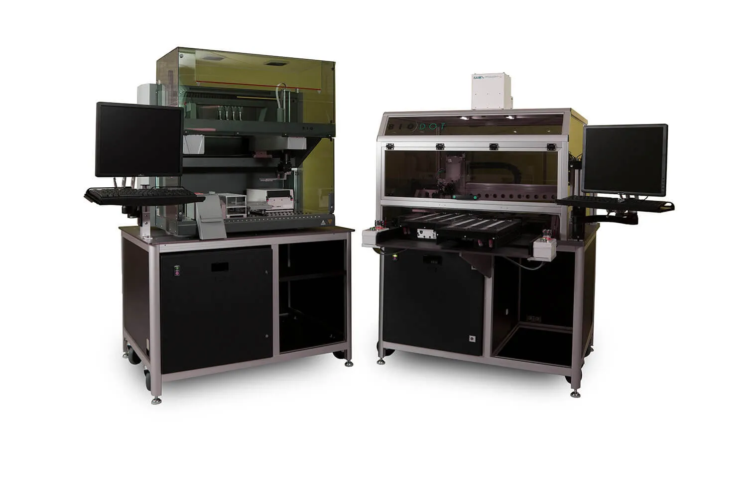 FISH: A Popular Diagnostic Tool - BioDot