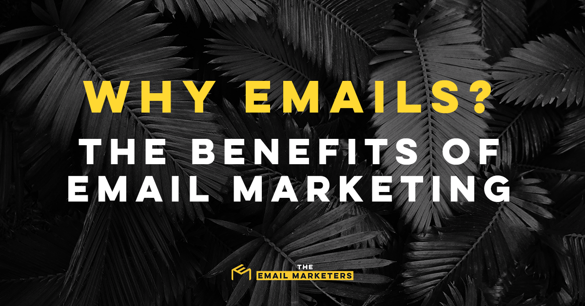 An In-Depth Explanation of Email Marketing Costs | The Email Marketers