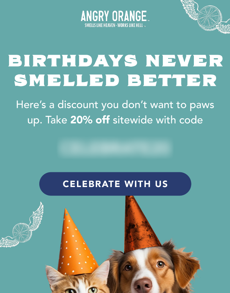 5 Amazing Birthday Email Examples | The Email Marketers