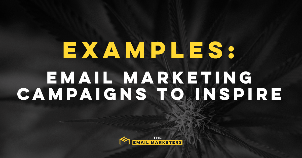 4 Examples to Inspire Your Email Marketing for SaaS | The Email Marketers