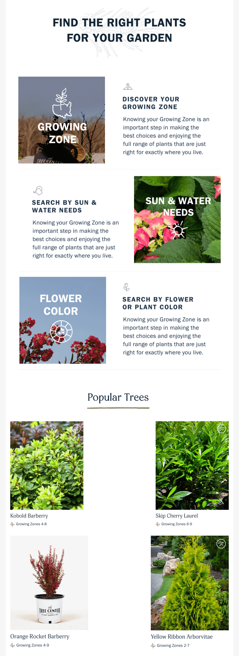 The Importance of Email Marketing for Construction Companies (Plus 2 ...