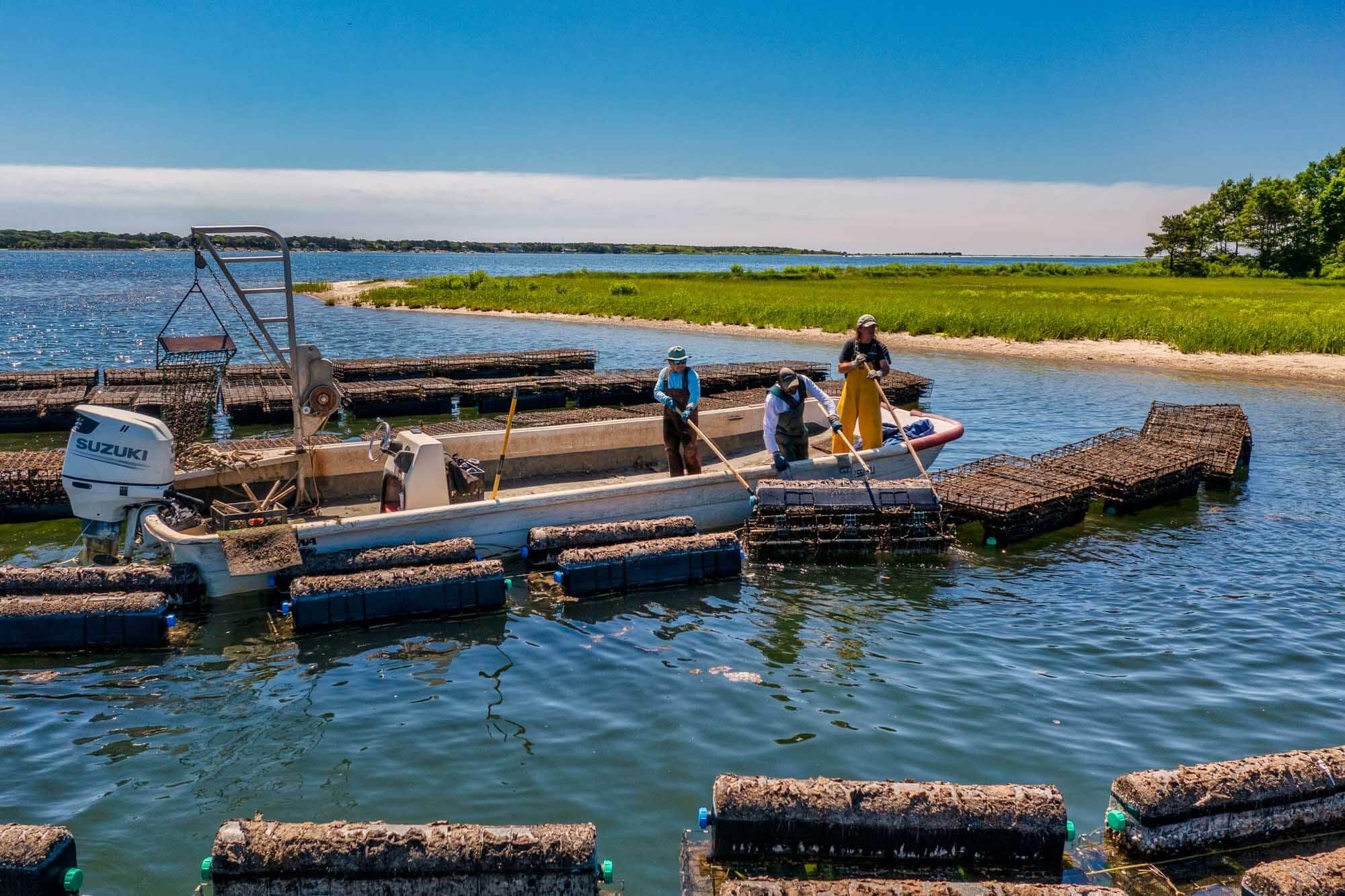 Our Farms | Cape Cod Oyster Company