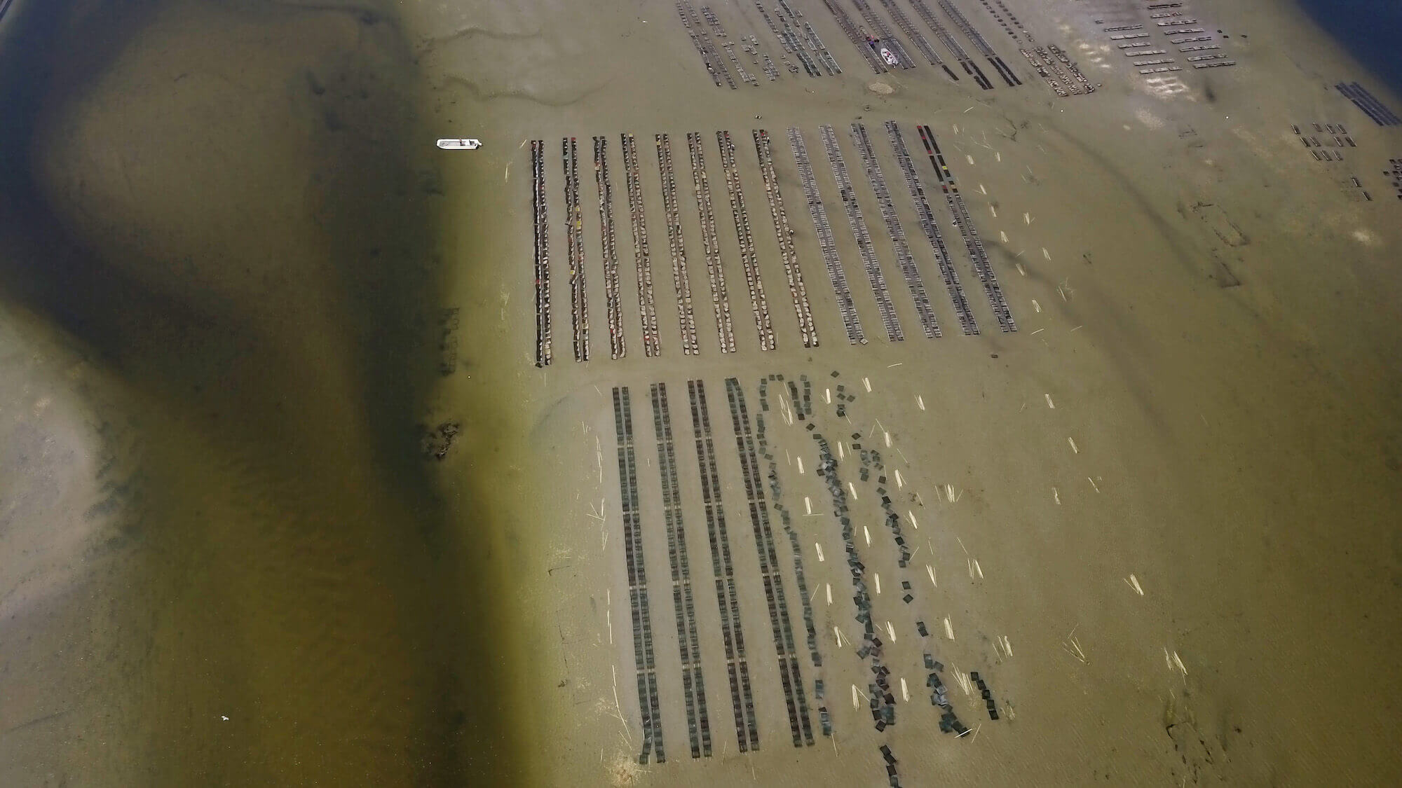 Our Farms | Cape Cod Oyster Company