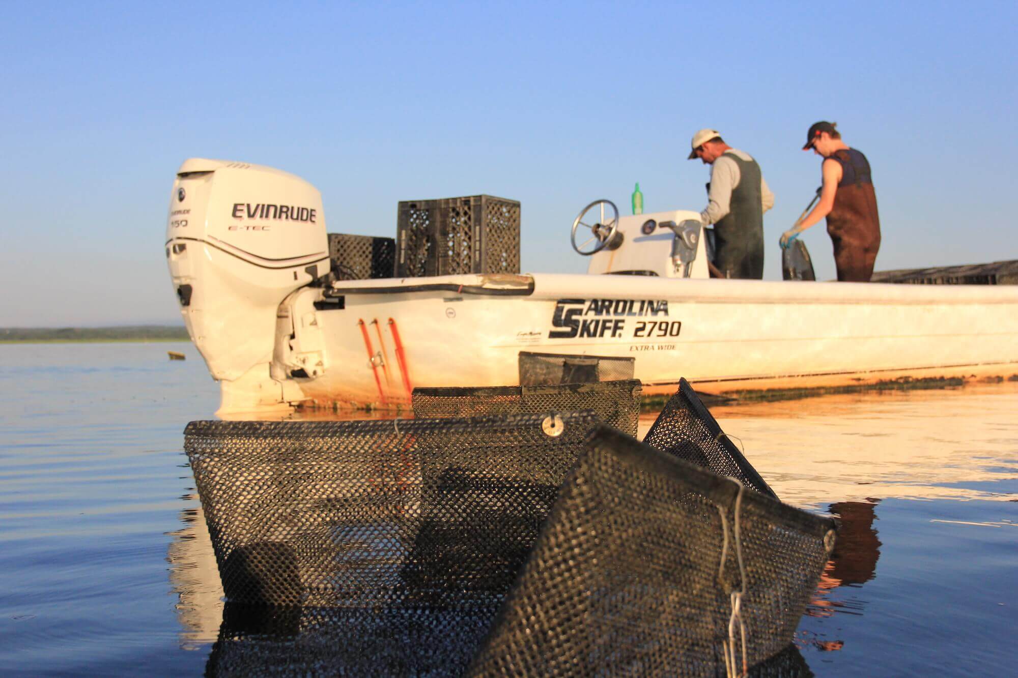 Our Brands | Cape Cod Oyster Company