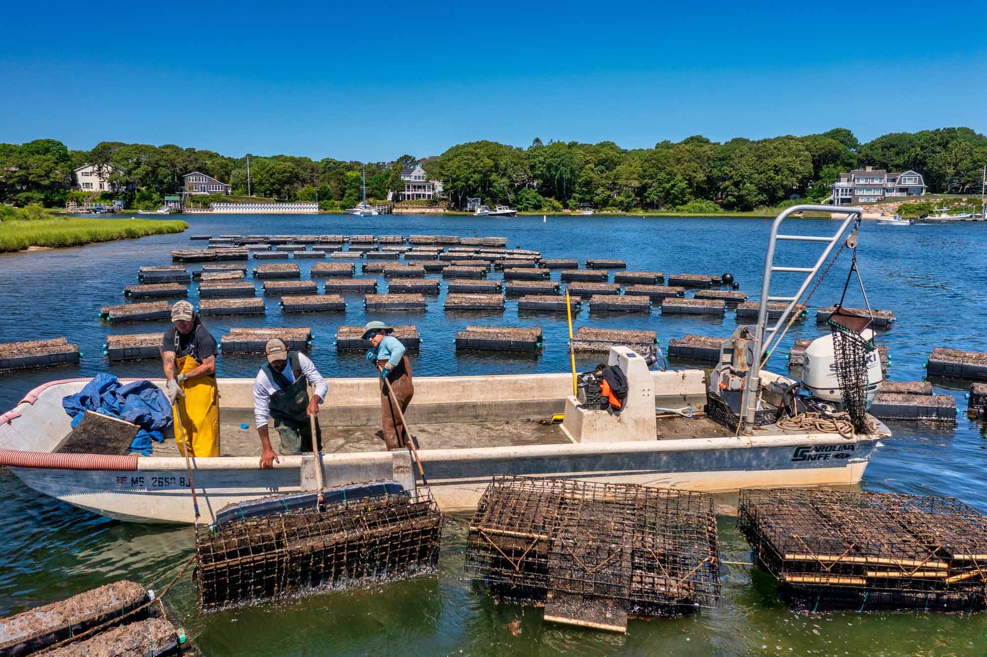 Contact Us | Cape Cod Oyster Company