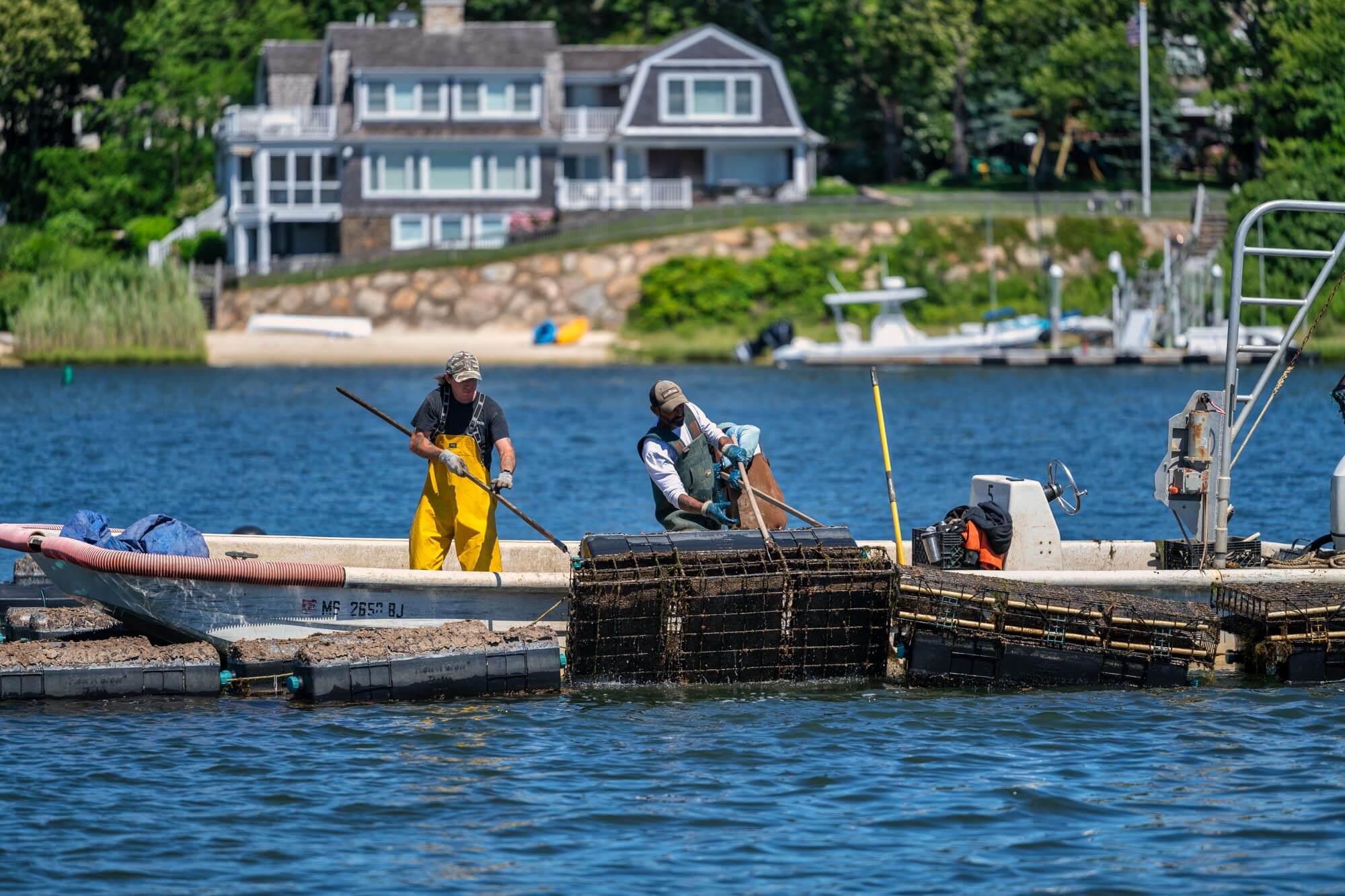 Waquoit Bay Falmouth | Cape Cod Oyster Company