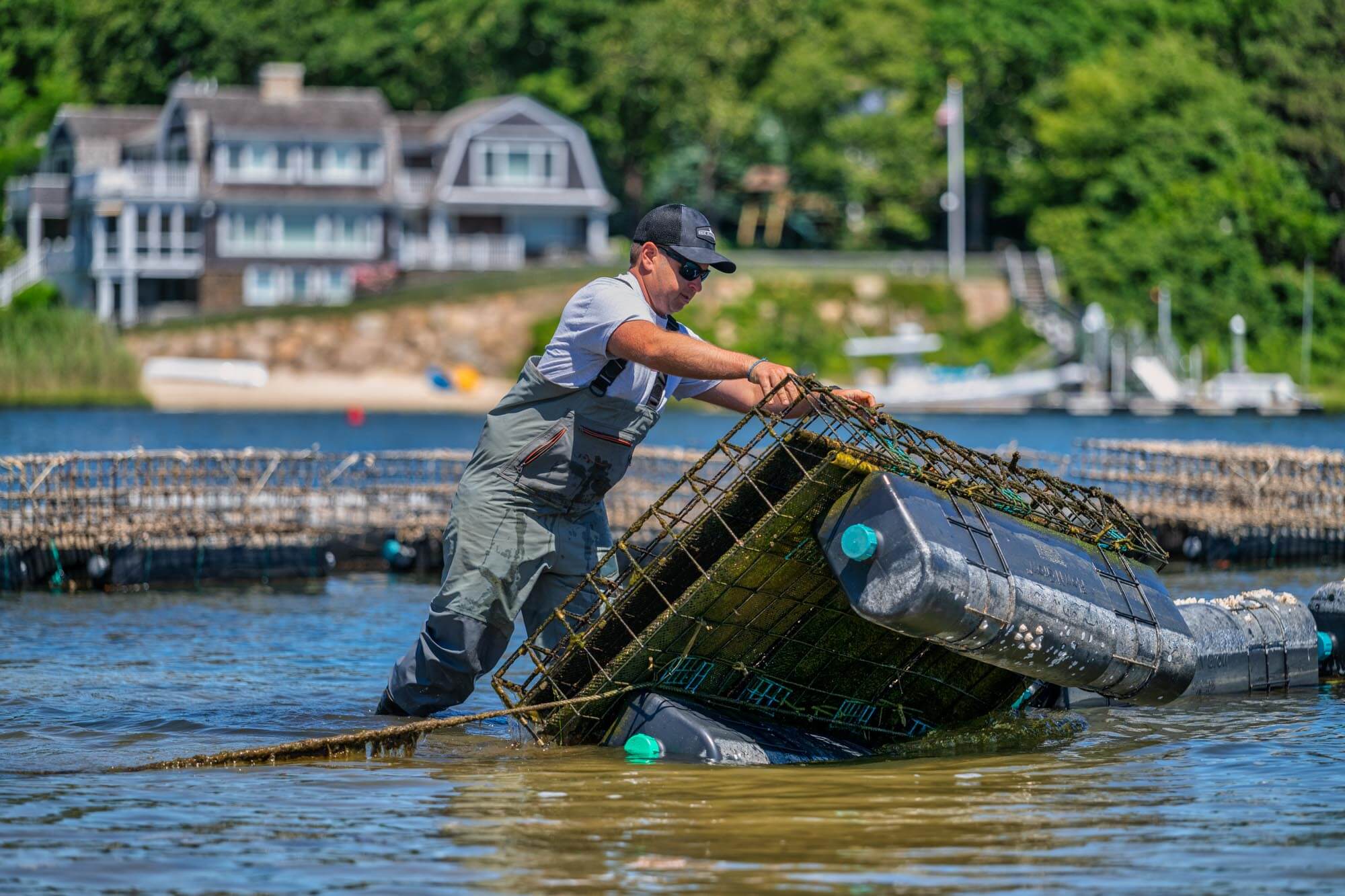 Contact Us | Cape Cod Oyster Company